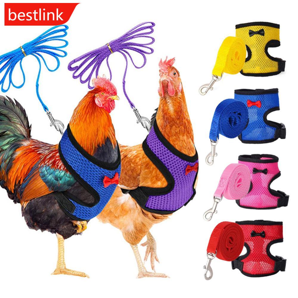 BESTLINK Breathable Mesh Chicken Duck Vest Leashes Poultry Hen Pet ...