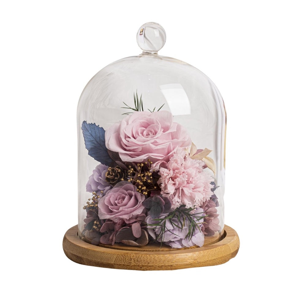Carnation Bell Jar - Paddle Pop Purple (with box) | Shopee Singapore