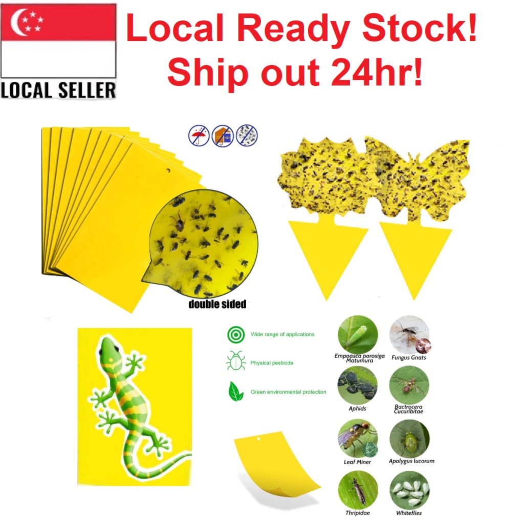SG Stock - Double Sided Sticky Board Insect Traps Pest Killer Fly ...