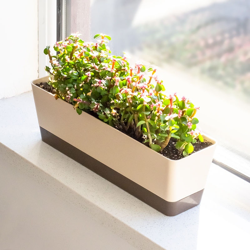 Rectangular Flower Pot Long Strip Super Narrow Slender Model Green ...