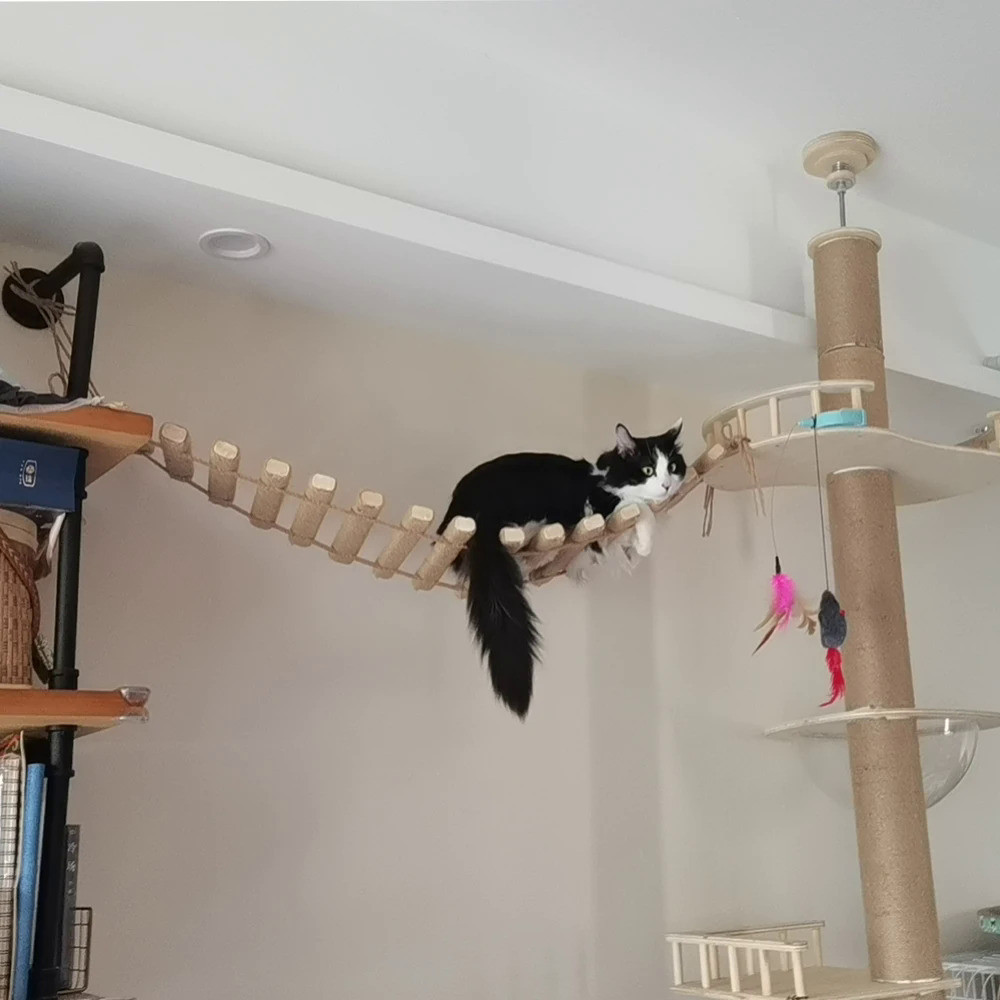 cat ladder 50CM/100CM Sisal Rope or Wooden Ladder Cat Climbing Frame ...
