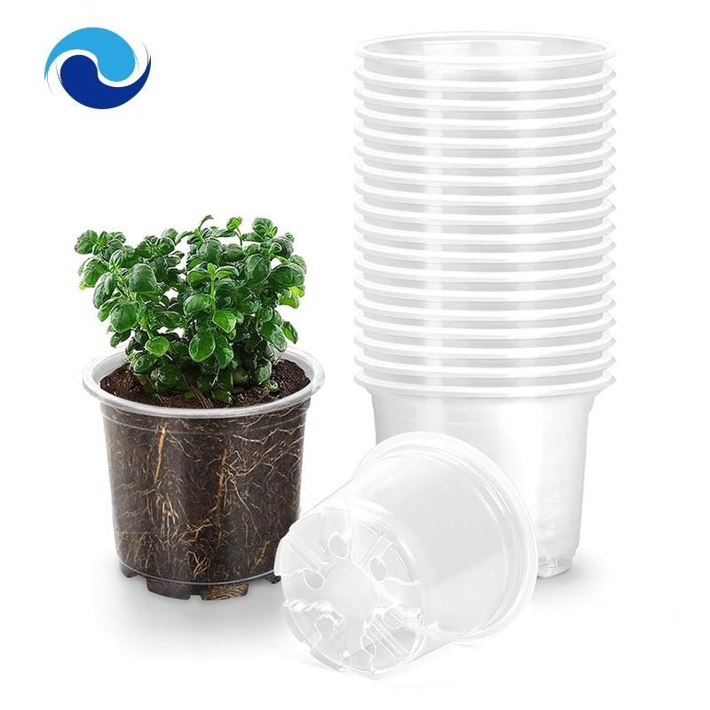 20-Pack Nursery Pots Transparent PP for Plants: Seedling Pots with ...