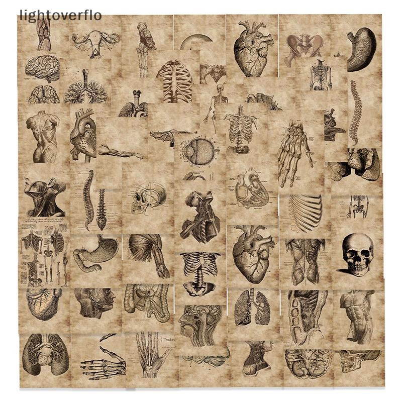 [lightoverfloW] 56pcs/set Human Body Organ Stickers Waterproof Sticker ...