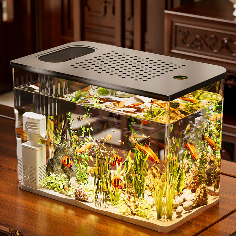 Fish Tank Aquarium With Lid Ecological Fish Tank Transparent Small ...
