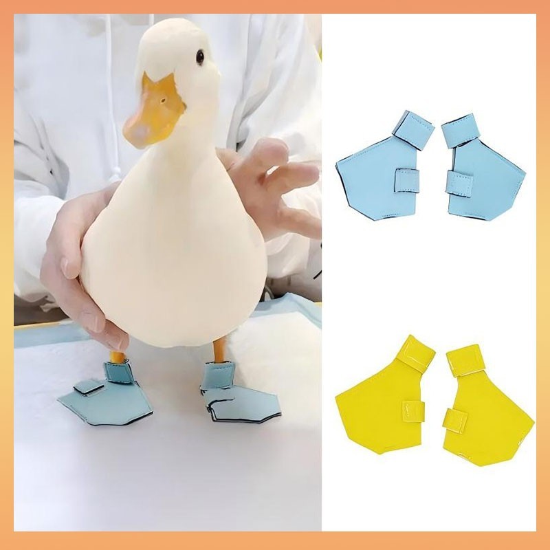 Anti-Slip Duck Shoes for Injured Feet, Breathable Protective Pet Boots ...