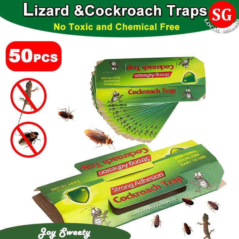 【SG stock】Roach Trap Lizard Traps Stickers Roach Bait roaches Repellent ...