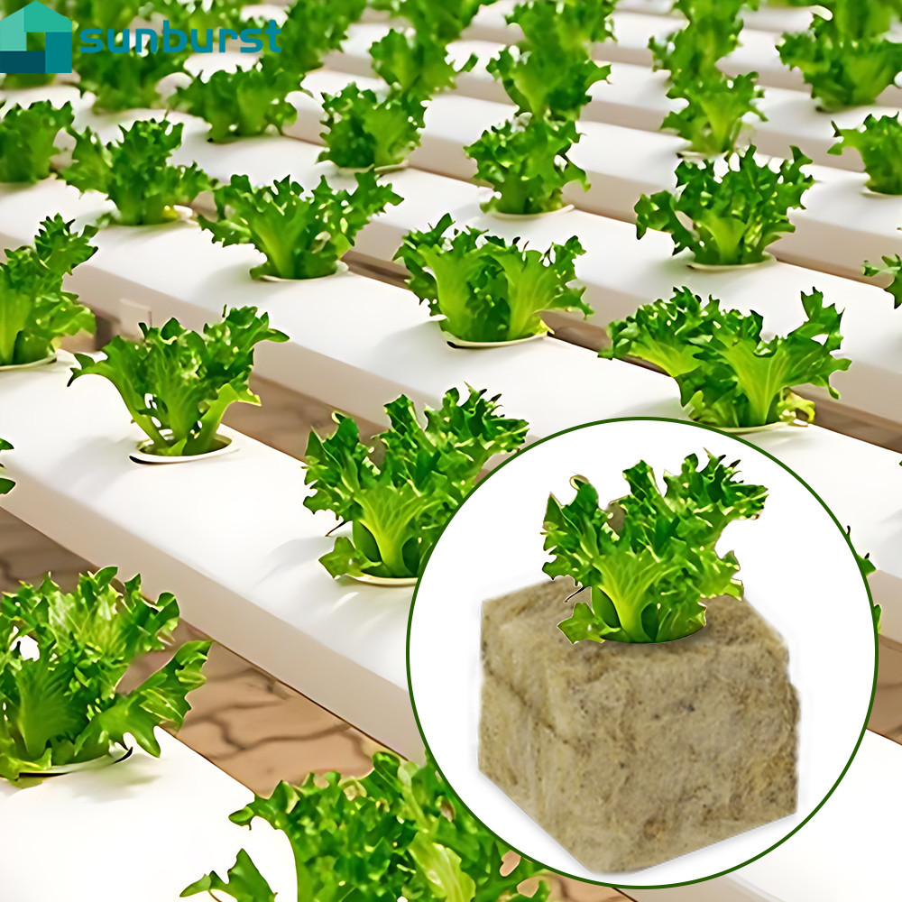 50Pcs Planting Seedling Media Cubes - Soilless Substrate Seeded - For ...