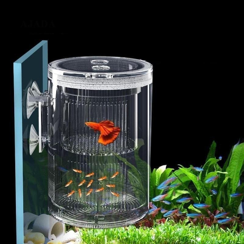 [ Breeding Box Hatching Box Separation Transparent Acrylic Box for ...