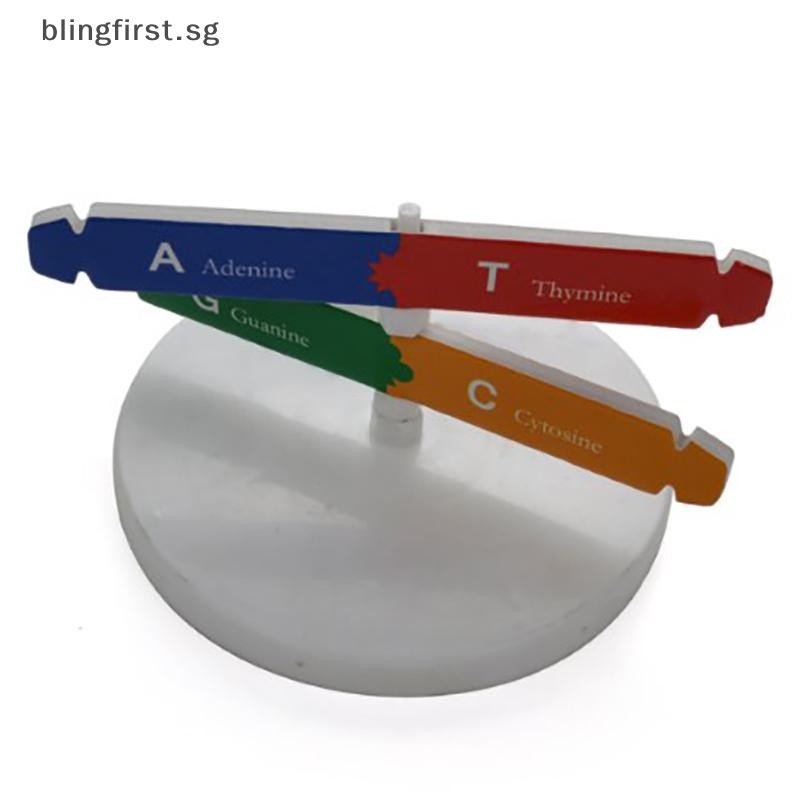 [Blingfirst] Human Genes DNA Models Double Helix Science Toys Teaching ...