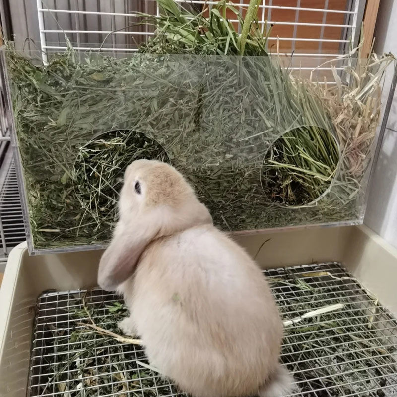Rabbit Hay Rack Acrylic Anti-Waste Anti-Grabbing Food Bowl 2-in-1 Built ...