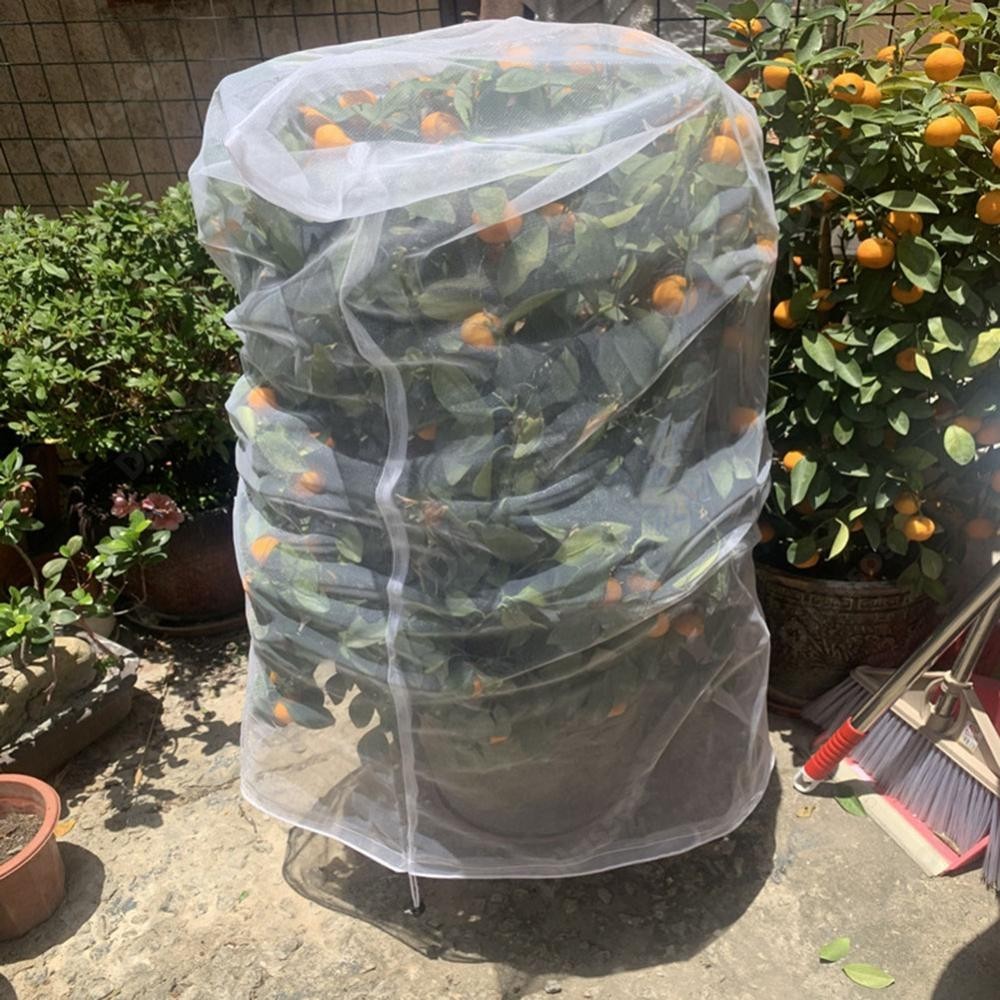 Bug Net Barrier Bag Anti-Bird Plant Netting Mesh Transparent for Fruit ...