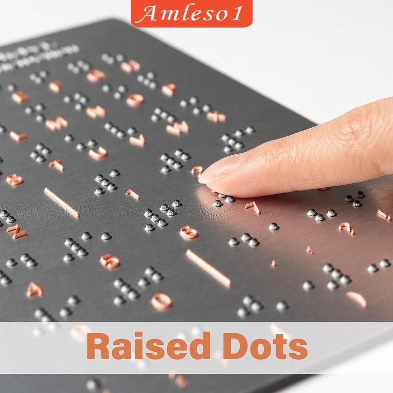 [Amleso1] Braille Alphabet Board Braille Board Punctuation Gifts ...