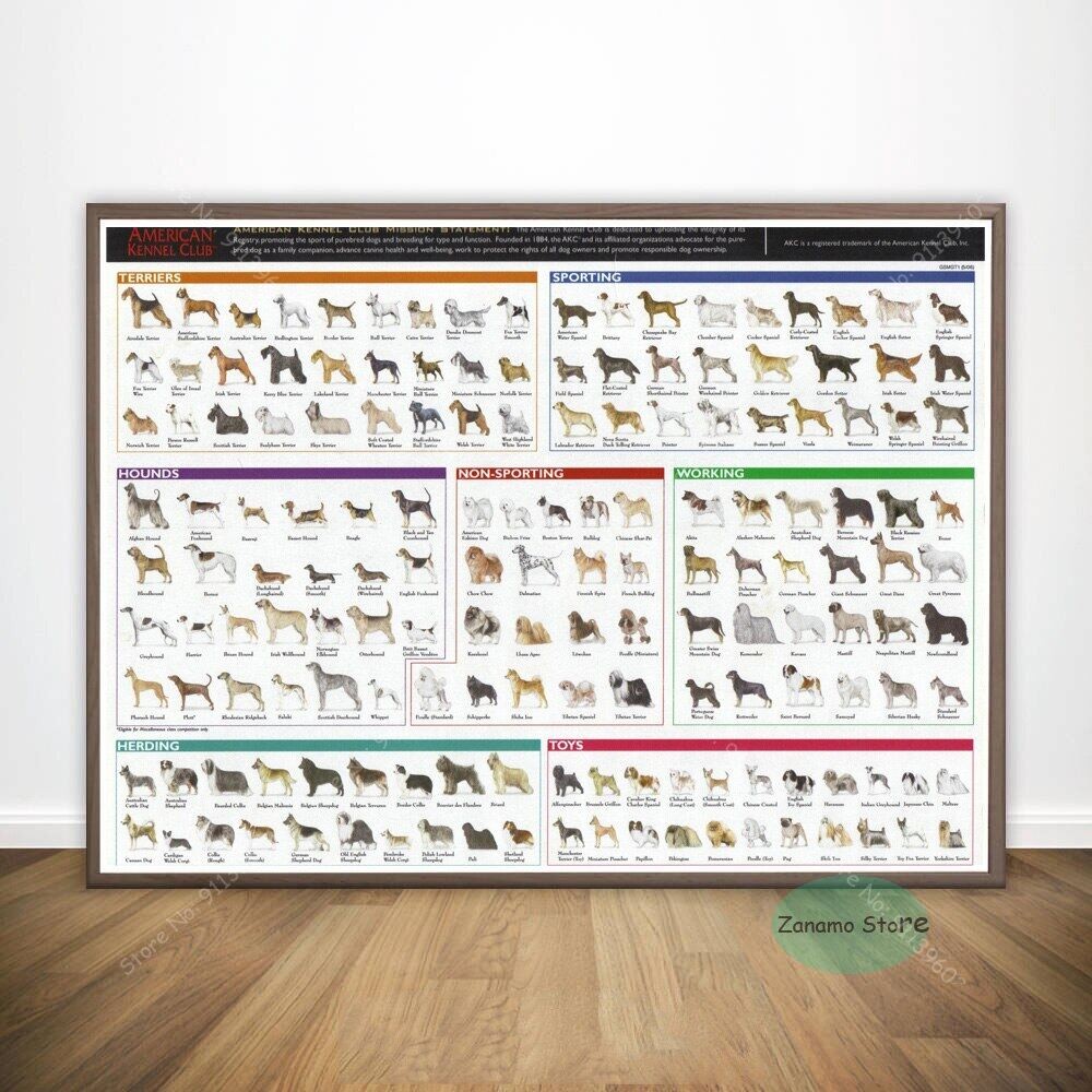 The Diagram Of Different Dog Breeds Anatomy Chart Poster Prints Canvas ...
