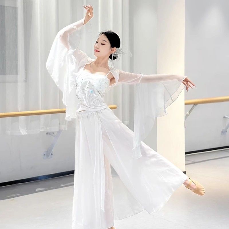 Classical Dance Costume Symphony Butterfly Gauze Culottes Chinese ...
