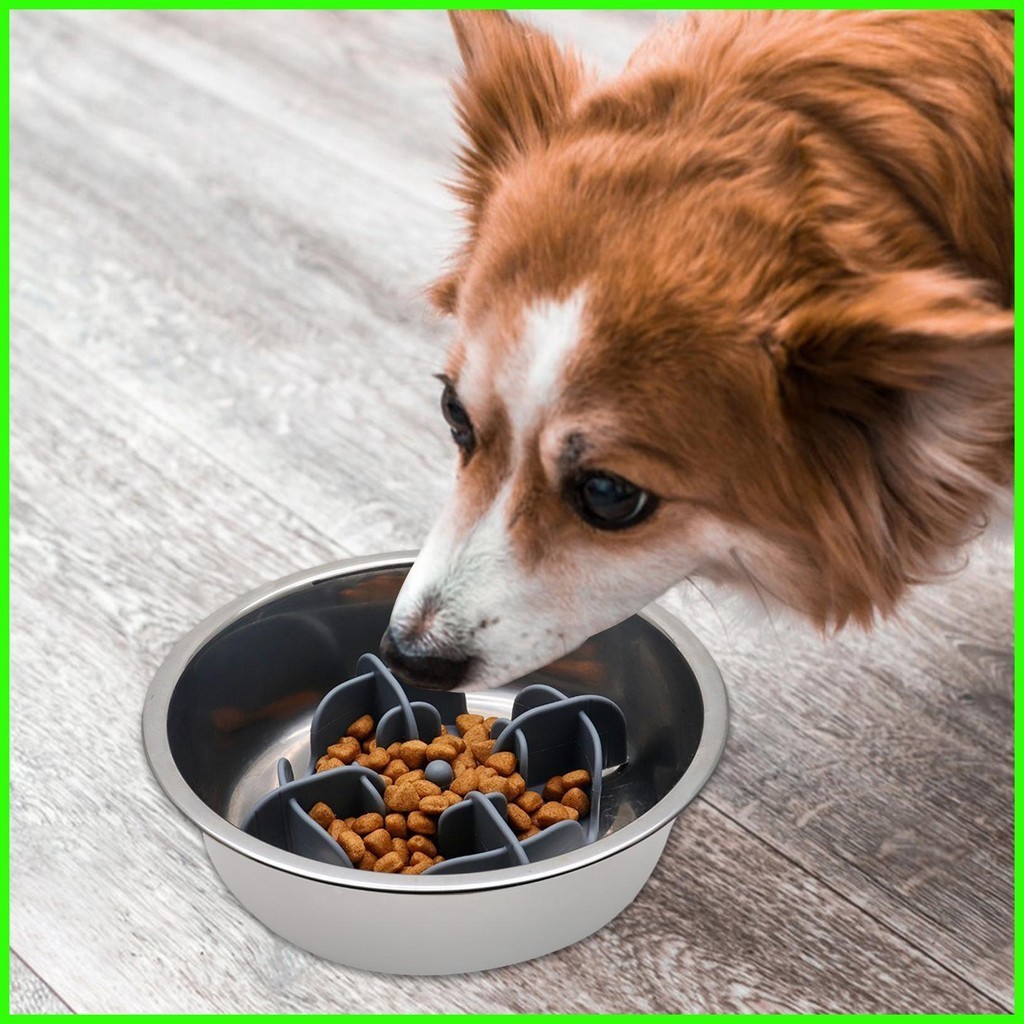 Slow Feeder Dog Bowls Silicone Dog Slow Feeder Bowl Large Breed Raised ...