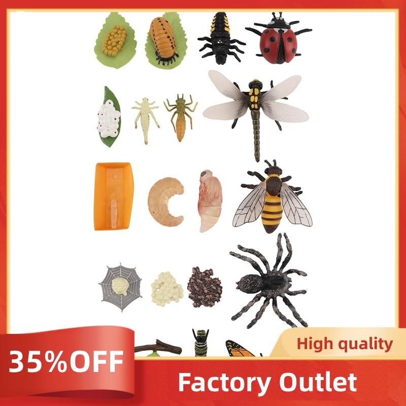 Life Cycle Figurines of Butterfly Spider Bee Ladybug Dragonfly, Plastic ...