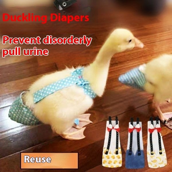 Cole Duck Diapers Shit Pockets Ducklings Wear Diapers Prevent Pulling ...