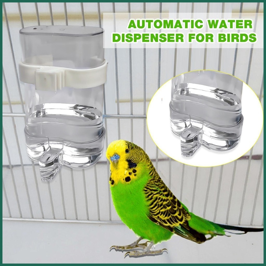 Auto Bird Water Dispenser Leakproof Bird Feeder Hygienic Water Bowl ...
