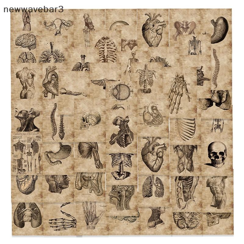 {NEW} 56pcs/set Human Body Organ Stickers Waterproof Sticker Anatomy ...