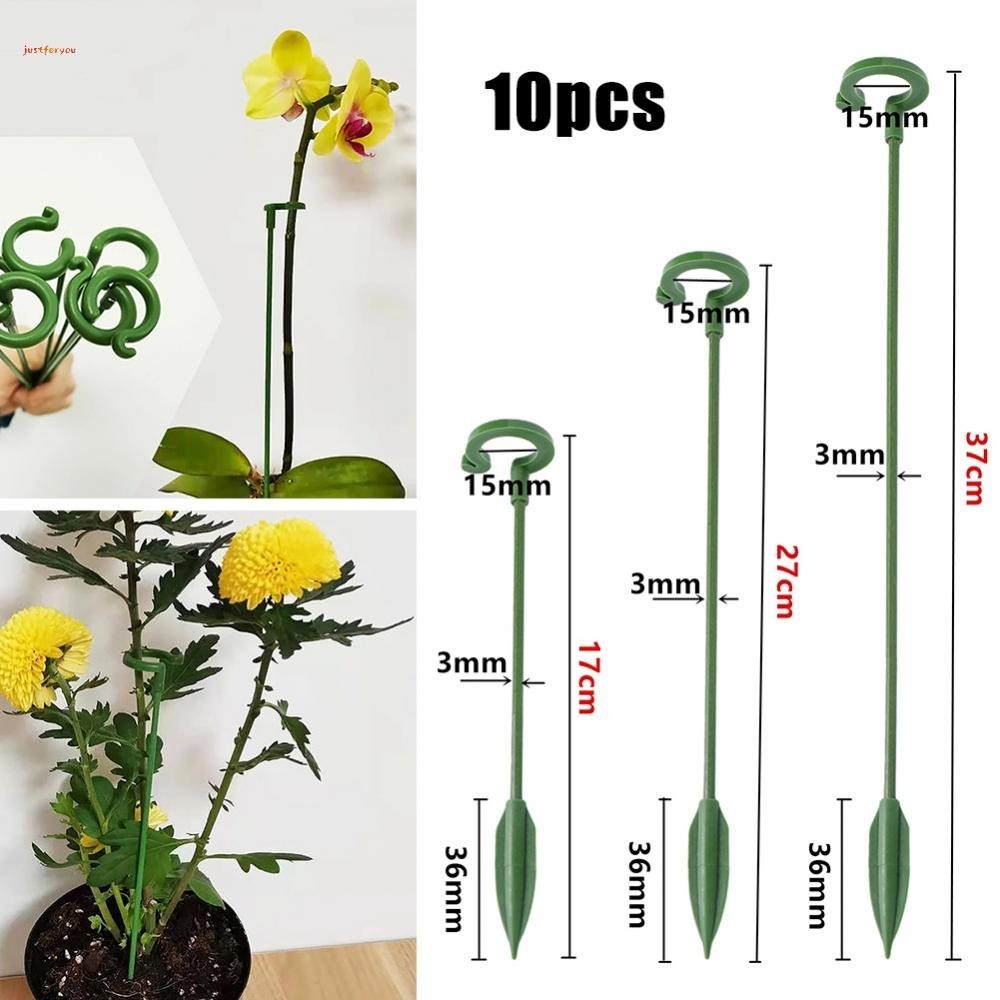 Protect Fragile Stems with Our Fiberglass Plant Support Stand Suitable ...