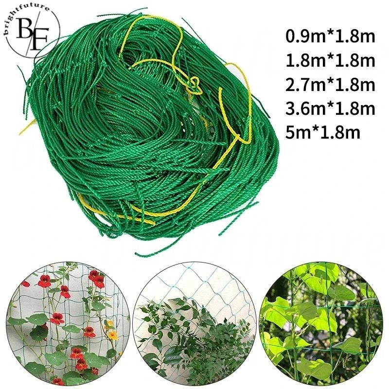 Nylon Garden Netting Plants Climbing Frame Mesh Morning Glory Flowers ...