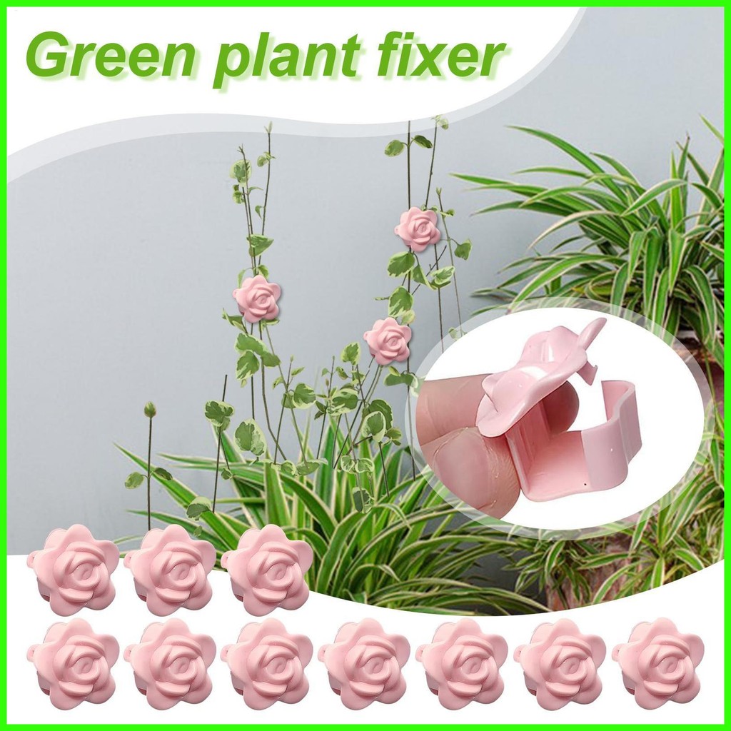Plant Vine Wall Clips 10X Flower-Shaped Vines Climbing Fixing Clips ...