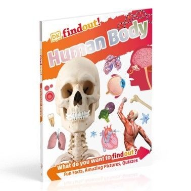 DK Findout! Human Body | Shopee Singapore