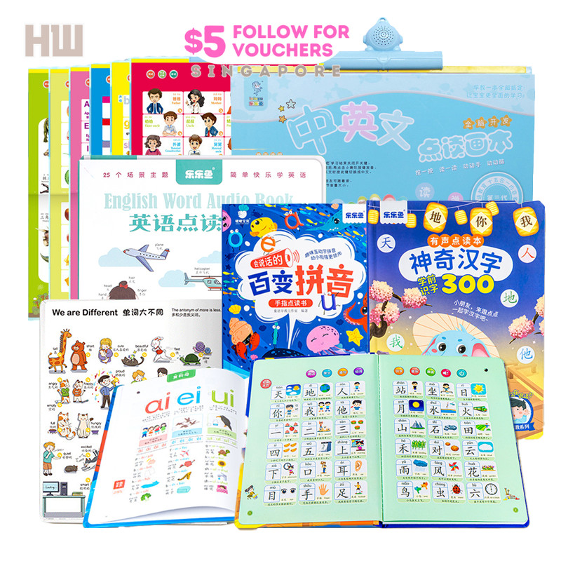 Preschool Primary Chinese Hanyu Pinyin Bilingual 300 Word Recognition ...
