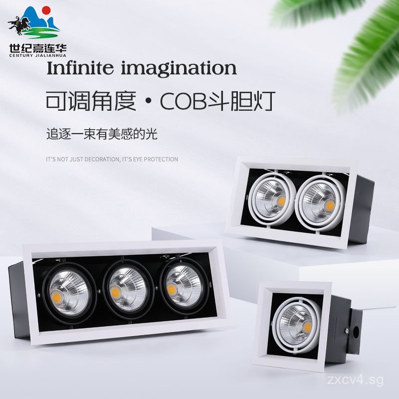 Bold Lamp cob Double-headed spotlight led Recessed Rectangular ...