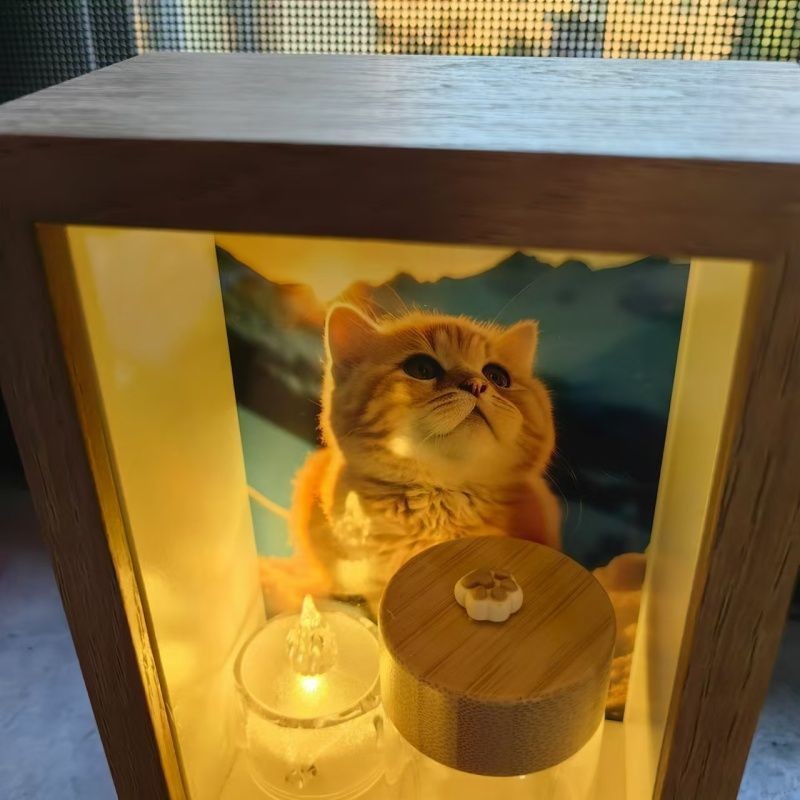 Pet Commemorative Photo Frame Debut Storage Dogs Cats Photos And Hair ...