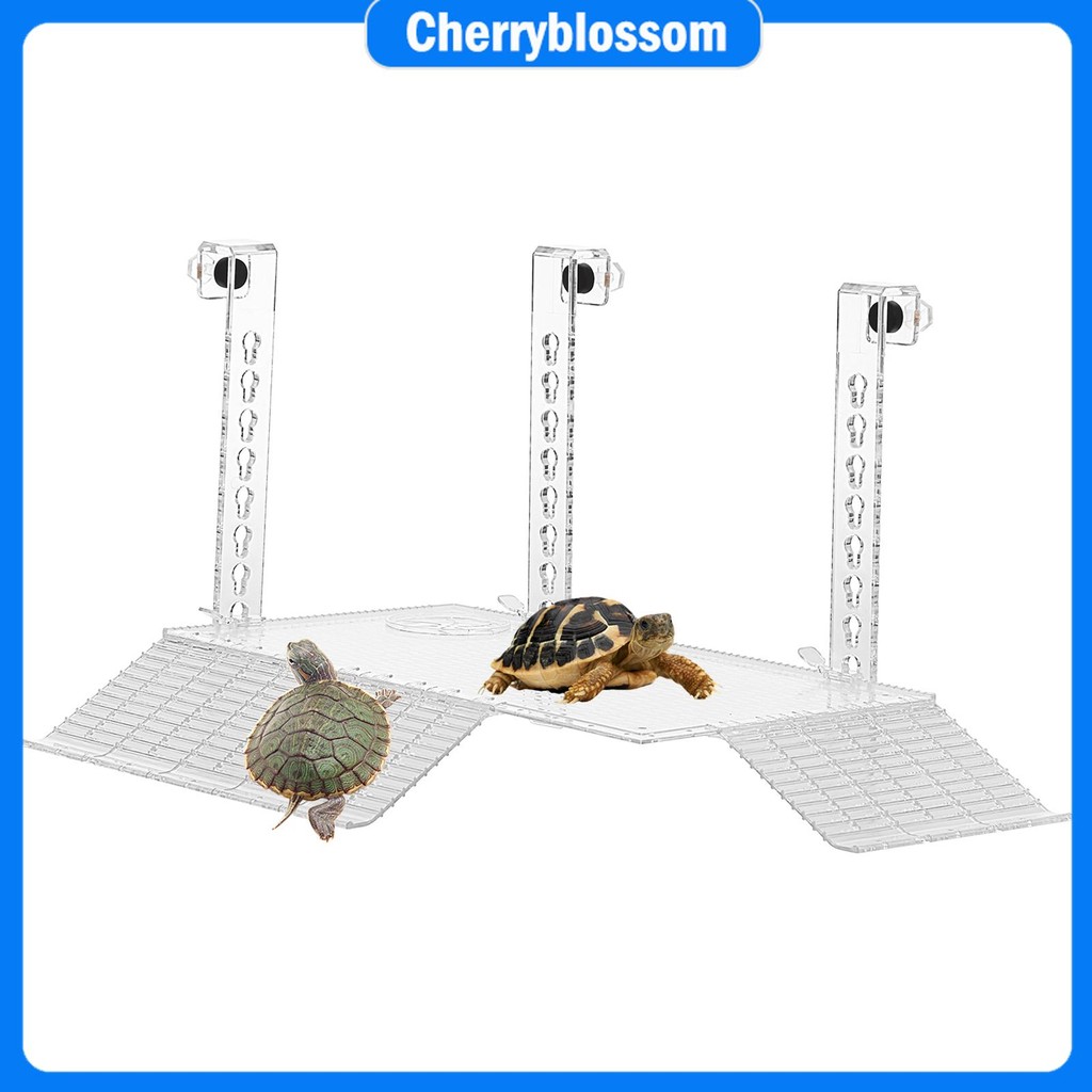Turtle Basking Platform Acrylic Turtle Dock Basking Platform Height ...