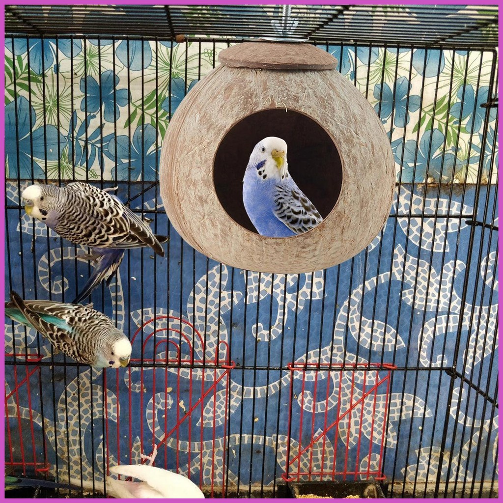 Coco Husk Bird Hut Coco Husk Nesting House for Birds Lovebirds Habitat ...