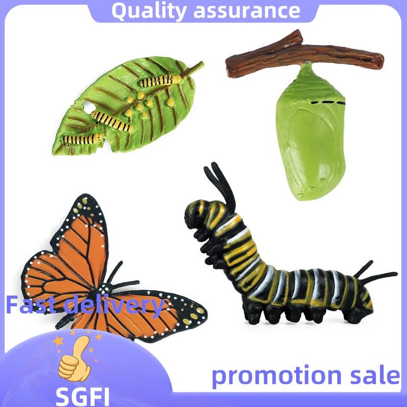 Simulation Life Cycle Figurine of a Monarch Butterfly Growth Cycle ...
