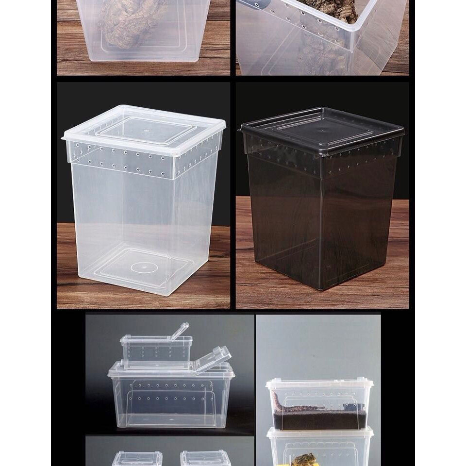 Insect Feeding Box Mantis Spider Scorpion Larva Transparent Feeding Box ...
