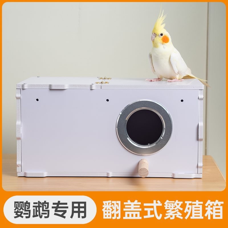 Parrot Breeding Box Transparent Bird Nest Cockatiel Lovebird Budgie ...