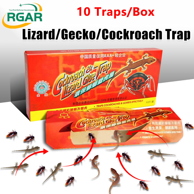 RGAR Lizard/Cockroach Traps with Baits Cicak/Gecko Glue Stickers - Each ...
