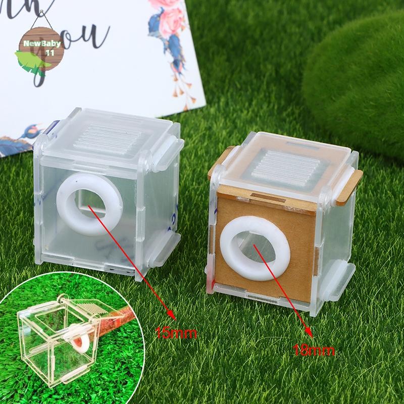 NBBY Acrylic High Transparent Ant Activity Area Test Tube Connection ...