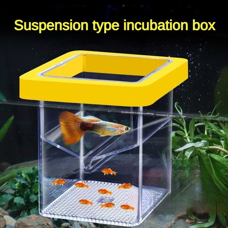 Fish Tank Breeding Isolation Box Incubation Shelter House Fish Fry ...