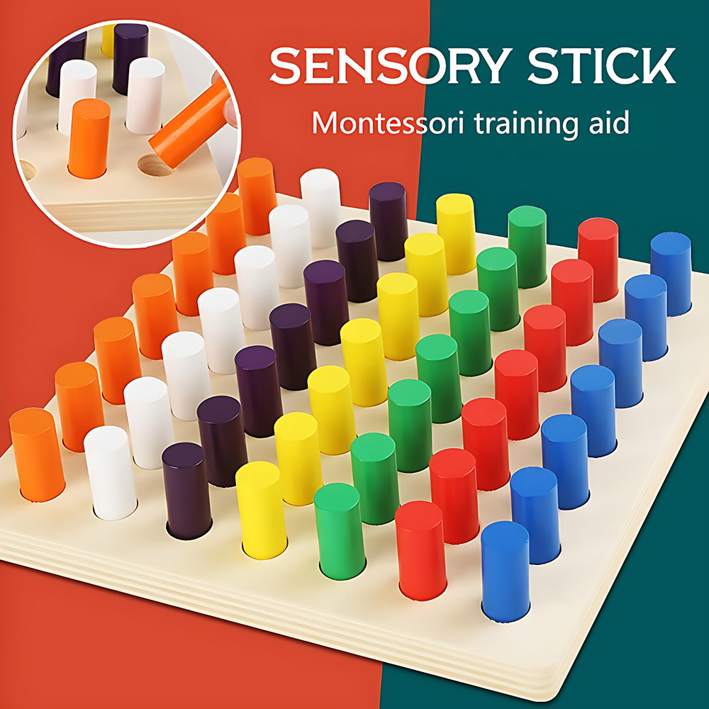 Montessori Wooden Cylinder Socket Blocks Board Game Toys Color Sorting ...