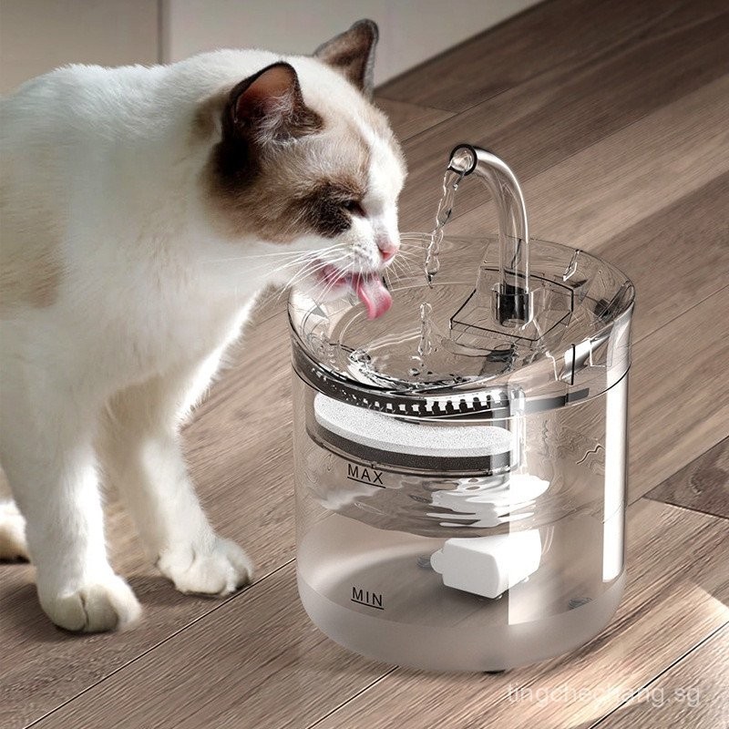 Cat Water Fountain Animal Water Dispenser, Square Automatic Kitty Water ...