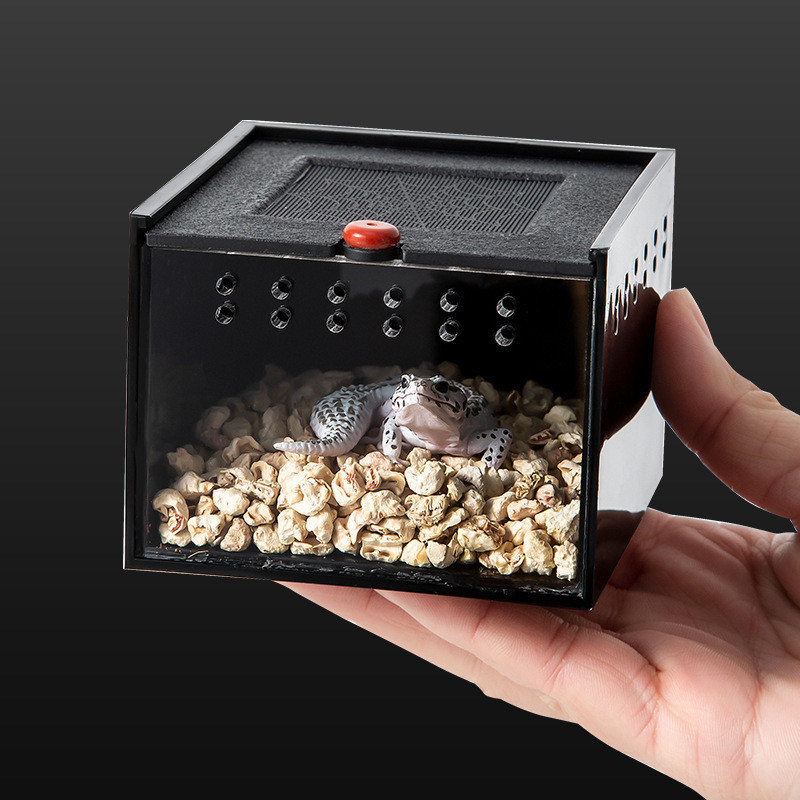 Mini Acrylic Reptile Box Transparent Spider Cage Breeding And Carrying ...