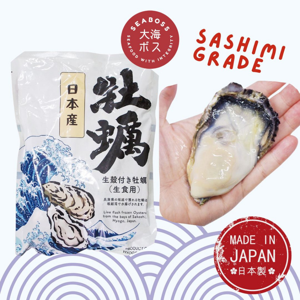Sakoshi Bay Jumbo Sashimi-grade Oysters (12 PCS) 日本牡蛎可生吃 | Shopee Singapore