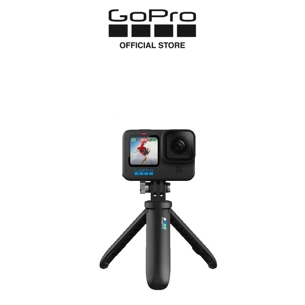 GoPro Travel Kit - (Shorty + Magnetic Swivel Clip + Camera Case ...