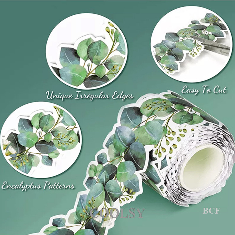 COOLSY Eucalyptus Border Bulletin Board Bulletin Board Border For ...