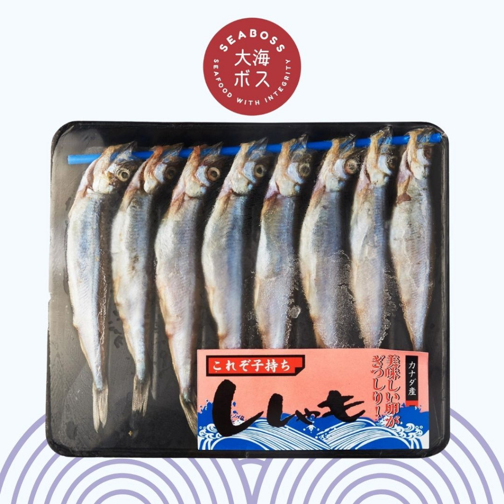 Shishamo Komochi (Japanese Smelt Fish) | Shopee Singapore