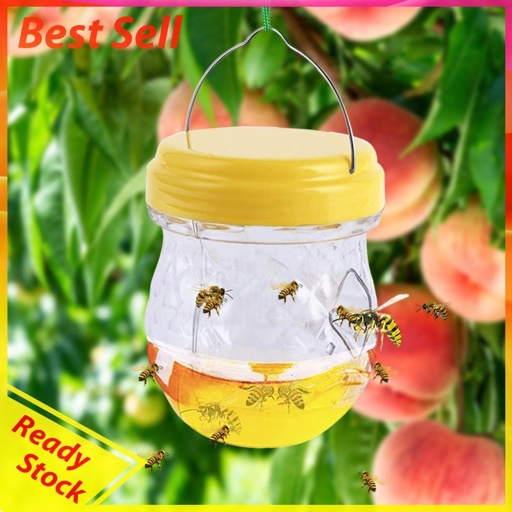 Outdoor Wasp Fruit Flies Trap Reusable Hanging Hornet Bee Catcher Non ...