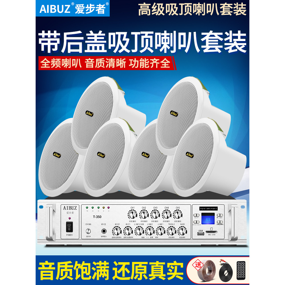 German Berlin Sound Effect Ceiling Speaker Set Ceiling Speaker Wall ...