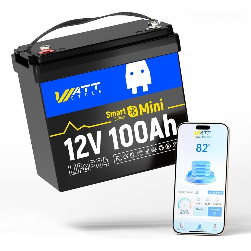 12V 100Ah LiFePO4 Lithium Battery with Bluetooth, BCI Group 24, 12V ...