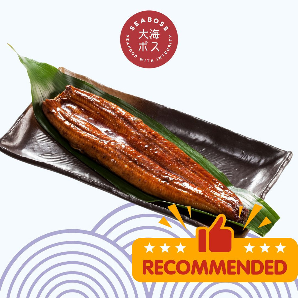 Jumbo Size Premium Unagi Kabayaki Fillet 鳗鱼 | Shopee Singapore