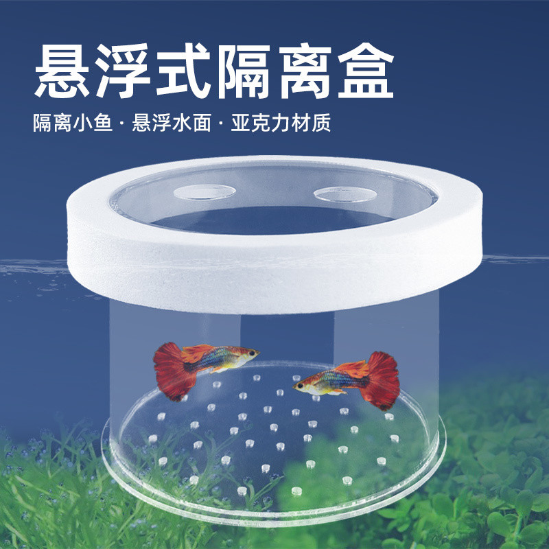 Acrylic Floating Suspended Isolation Box Tank Isolation Box Breeding ...